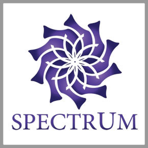 SPECTRUM CONSULTING Izrada web prodavnica i internet marketing ...
